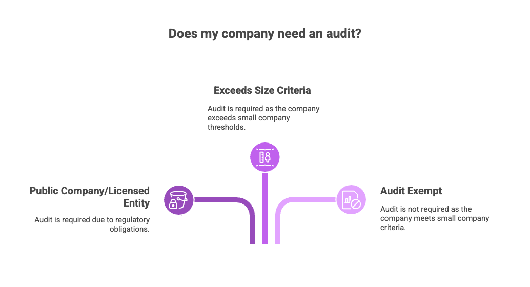 Malta Company Annual Compliance. Returns, Audits and Fees