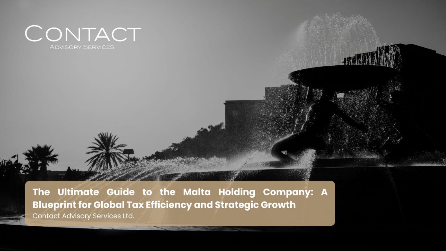Malta Company Share Capital Guide for Ltd. and PLC